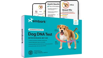 Embark review: A thorough, well-rounded dog DNA test | Expert Reviews