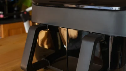 Instant Vortex Plus Dual Drawer air fryer review: Make light work of ...