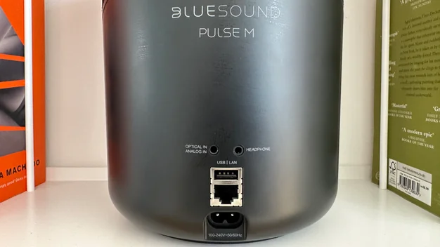 Bluesound Pulse M review: Little speaker, great big sound | Expert Reviews