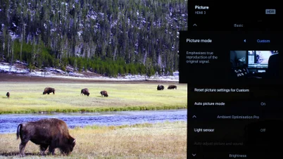 Sony A80L (XR-55A80L) review: A great mid-range OLED | Expert Reviews