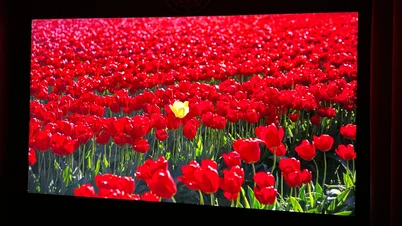 TCL C855 (85C855K) review: This big screen beauty offers even bigger ...