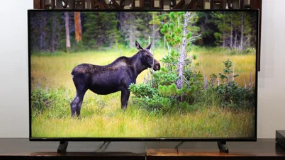 Bush UT24SB review: Get smart with this very affordable 4K HDR TV ...
