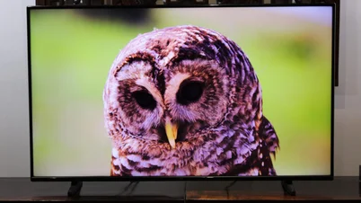 Bush UT24SB review: Get smart with this very affordable 4K HDR TV ...