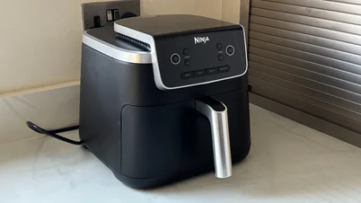 Ninja Air Fryer Pro 4.7l AF140UK review: A space-saving air fryer that ...
