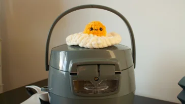 Panda Mini rice cooker review: Small but perfectly formed | Expert Reviews