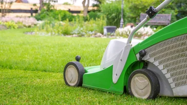 Are you cutting your lawn too short? This is how low you should really ...