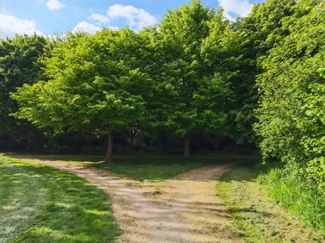 Honor 400 Pro review: Balancing act | Expert Reviews