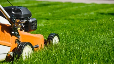 Are you cutting your lawn too short? This is how low you should really ...