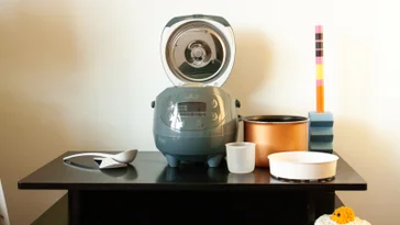 Panda Mini rice cooker review: Small but perfectly formed | Expert Reviews