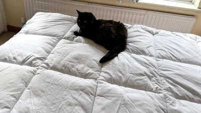 Dorma Full Forever mattress topper review: What’s not to like? | Expert ...